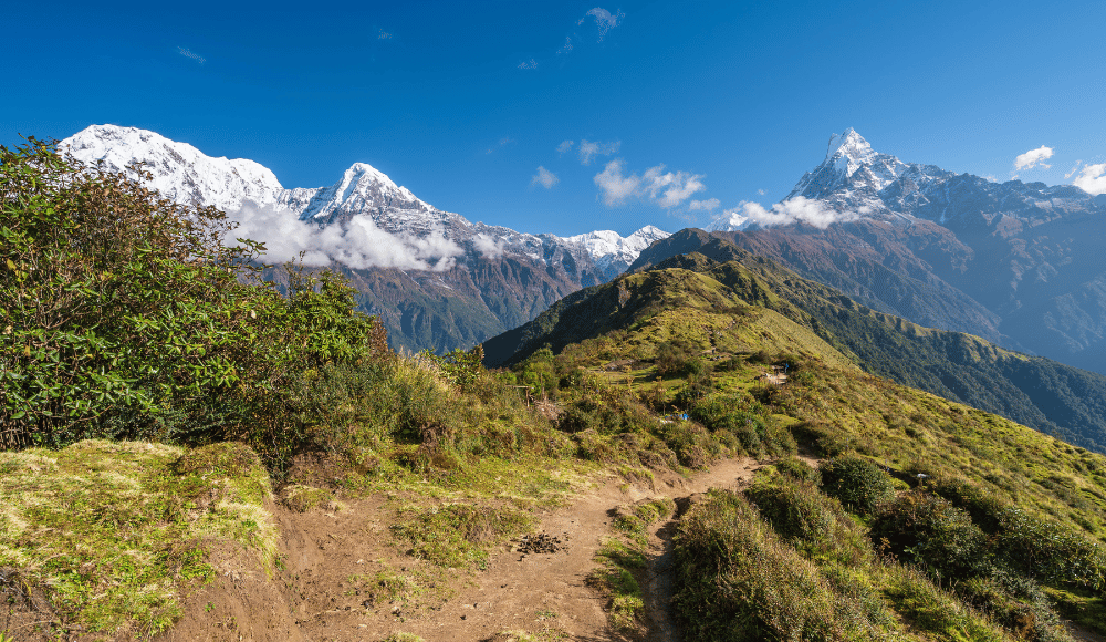 Best Time to Visit Mardi Himal Trek, Itinerary, Permits, How to Reach